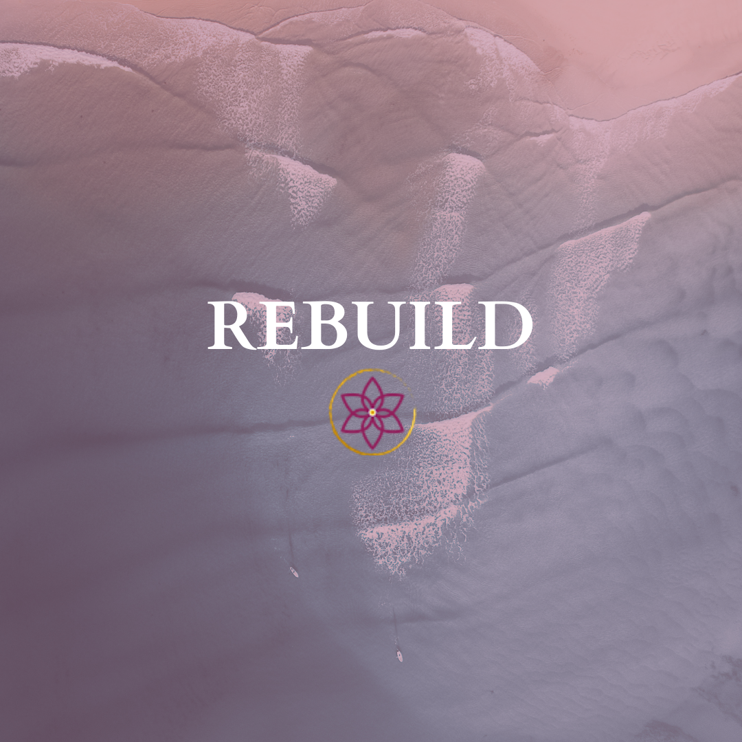 Rebuild Program - The PBT® Institute